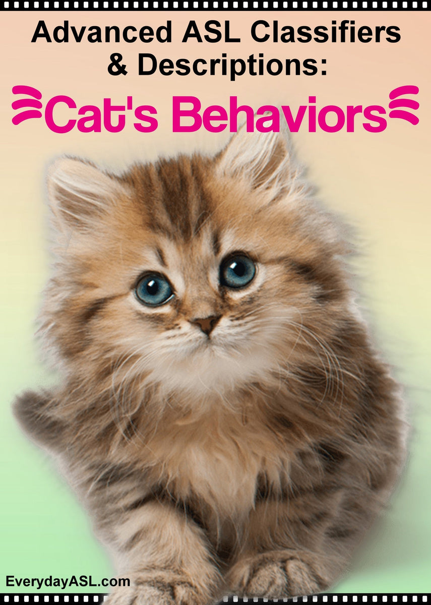 New! ASL Classifiers & Descriptions: Cat's and Dog's Behaviors 2-DVD ...
